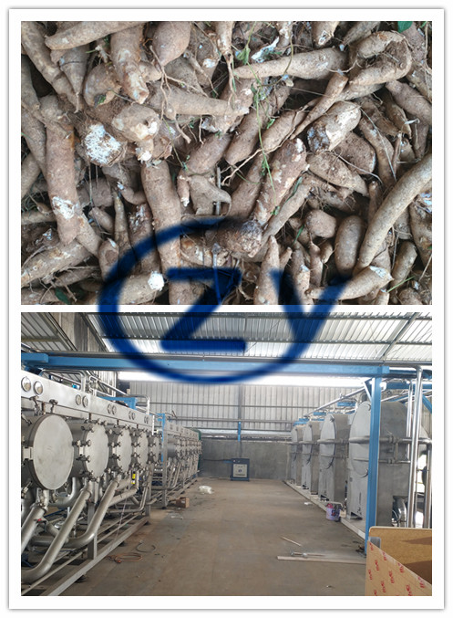 CE Cassava Starch Processing Machine By High Starch Extraction Rate ...